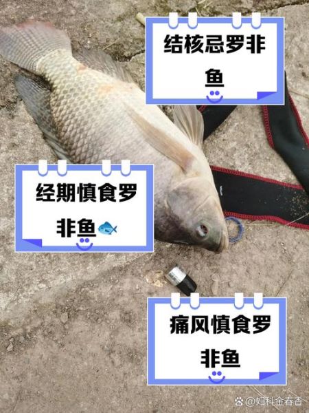 罗非鱼什么人不能吃_罗非鱼吃多了有什么副作用-第1张图片-山城妙识