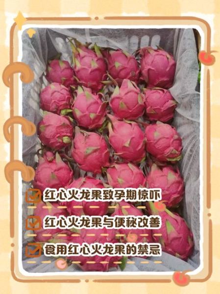 孕妇可以吃火龙果吗晚期_火龙果晚期孕妇能吃吗-第2张图片-山城妙识