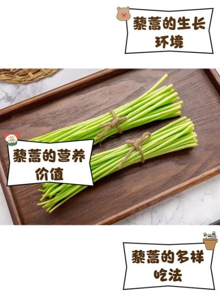 藜蒿怎么种_藜蒿种植技术视频教程-第1张图片-山城妙识