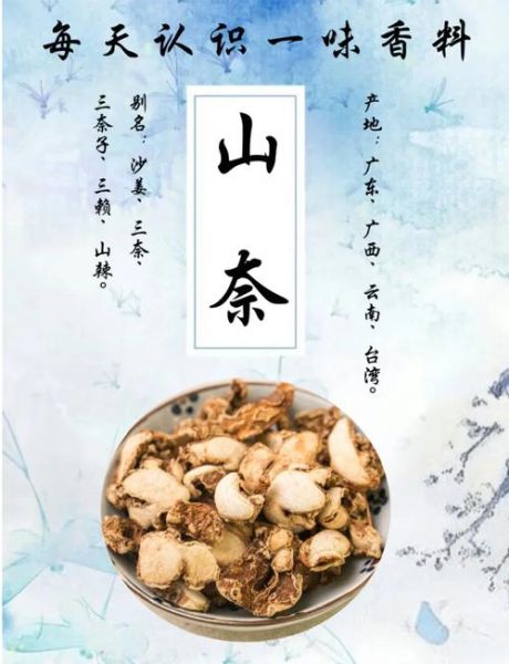 山奈是什么_山奈的功效与作用-第1张图片-山城妙识