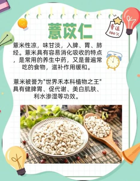 苡仁的功效与作用_苡仁怎么吃祛湿最好-第1张图片-山城妙识 苡仁的功效与作用_苡仁怎么吃祛湿最好-第1张图片-山城妙识