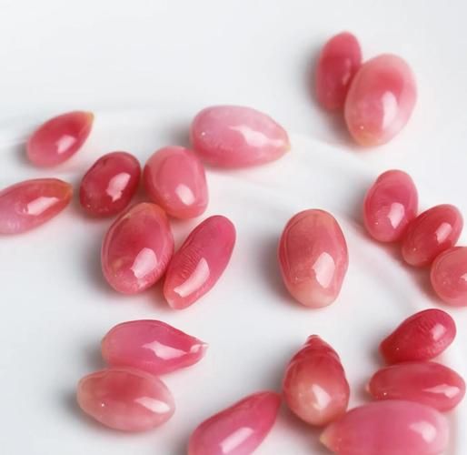 海螺珠是什么_海螺珠值钱吗-第1张图片-山城妙识