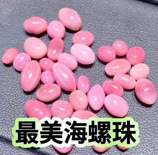海螺珠是什么_海螺珠值钱吗-第2张图片-山城妙识