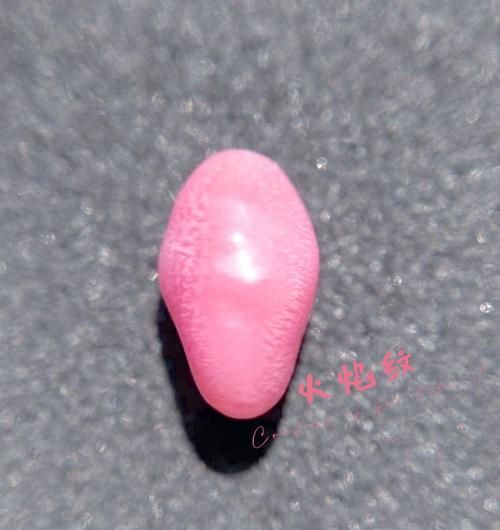 海螺珠是什么_海螺珠值钱吗-第3张图片-山城妙识