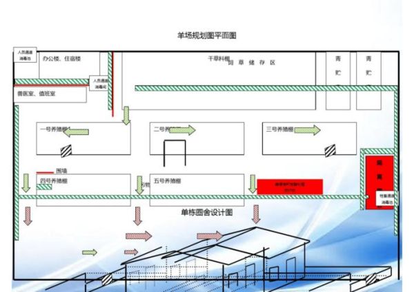 养羊棚设计图_100只羊舍建设方案-第1张图片-山城妙识 养羊棚设计图_100只羊舍建设方案-第1张图片-山城妙识