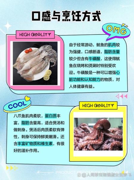 八爪鱼和鱿鱼的区别_怎么区分八爪鱼与鱿鱼-第1张图片-山城妙识
