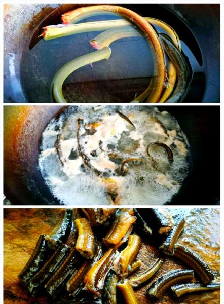 清蒸黄鳝怎么做_清蒸黄鳝蒸几分钟才嫩-第2张图片-山城妙识