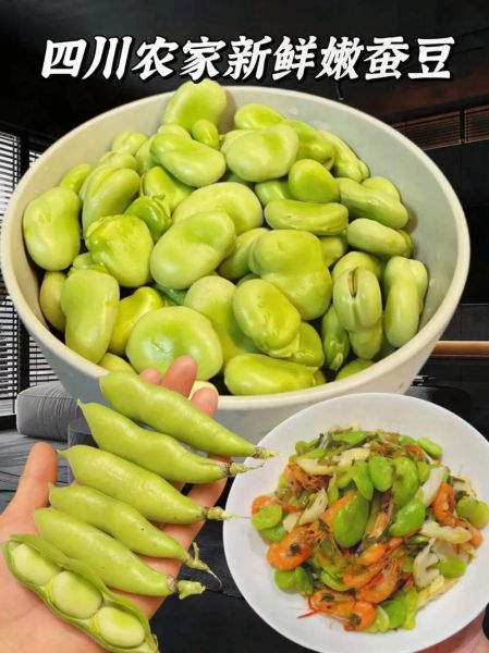 新鲜蚕豆怎么保存_新鲜蚕豆的做法大全-第3张图片-山城妙识