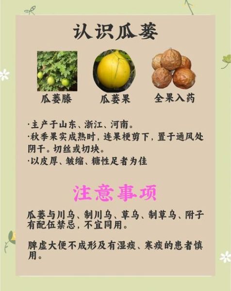 瓜蒌子的副作用_瓜蒌子吃多了有什么危害-第1张图片-山城妙识 瓜蒌子的副作用_瓜蒌子吃多了有什么危害-第1张图片-山城妙识