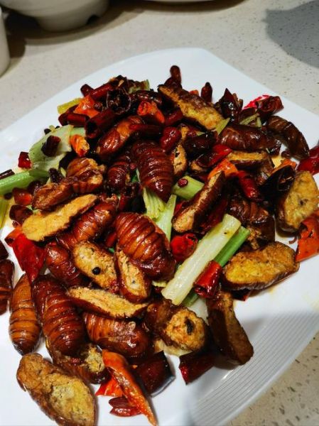 炒蚕蛹怎么做好吃_蚕蛹图片高清-第1张图片-山城妙识