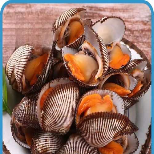 毛蚶和花蛤的区别_哪个更鲜美-第2张图片-山城妙识 毛蚶和花蛤的区别_哪个更鲜美-第2张图片-山城妙识