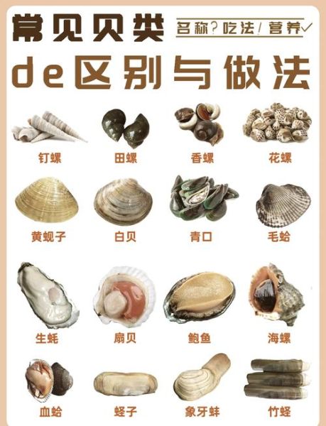 毛蚶和花蛤的区别_哪个更鲜美-第1张图片-山城妙识 毛蚶和花蛤的区别_哪个更鲜美-第1张图片-山城妙识