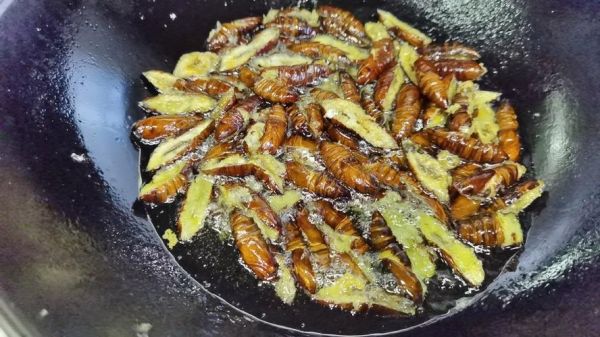 炒蚕蛹怎么做好吃_蚕蛹图片高清-第3张图片-山城妙识