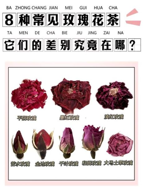 玫瑰花茶和茉莉花茶的功效区别_哪个更适合女生-第3张图片-山城妙识