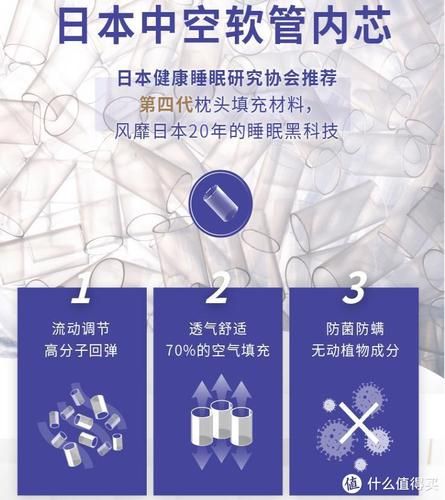 菠萝斑马颈乐枕怎么样_适合哪些人-第2张图片-山城妙识