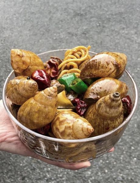 蜗牛吃什么长得快_蜗牛最爱食物排行榜-第1张图片-山城妙识