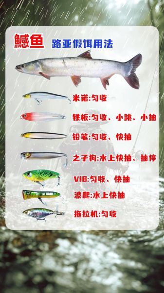 鳡鱼怎么钓用什么饵_路亚钓法全攻略-第1张图片-山城妙识 鳡鱼怎么钓用什么饵_路亚钓法全攻略-第1张图片-山城妙识