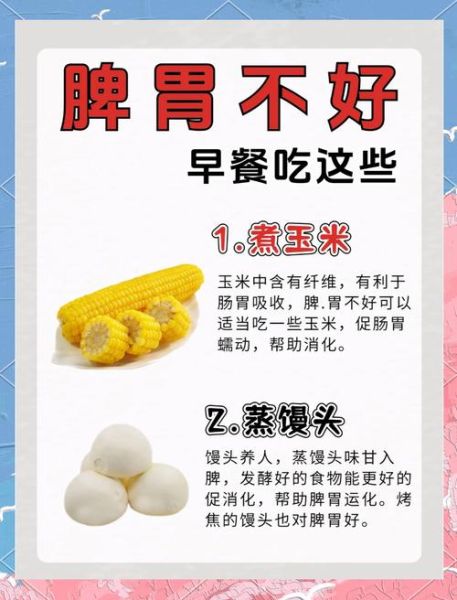 养胃食品有哪些_养胃吃什么好-第2张图片-山城妙识