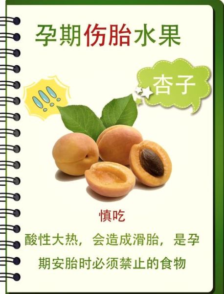 怀孕1一3月禁吃的十大水果_孕妇前三个月不能吃哪些水果-第1张图片-山城妙识