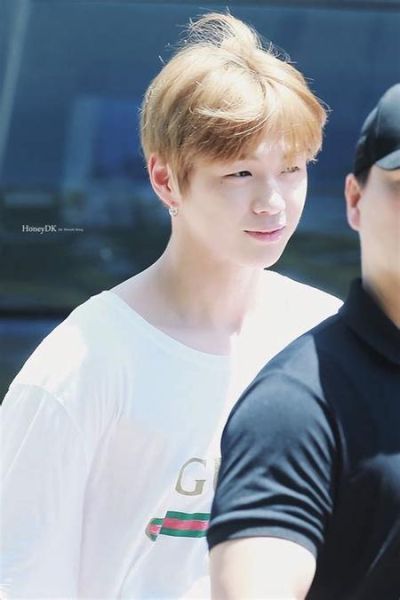 凤蝶直播怎么下载_凤蝶直播安全吗-第3张图片-山城妙识