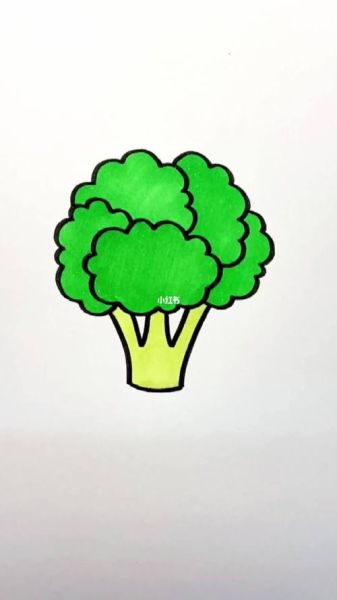 西兰花简笔画怎么画_西兰花简笔画步骤-第2张图片-山城妙识