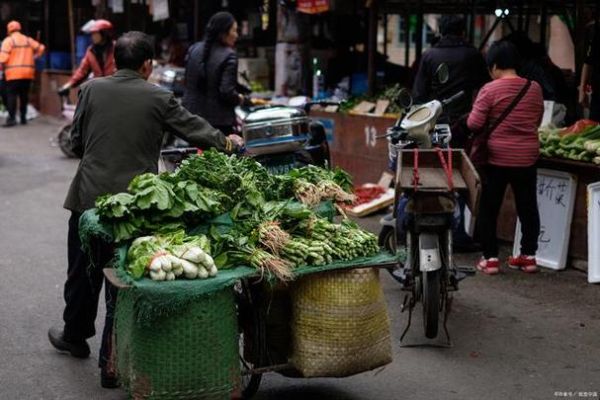 菜霸杨冬是谁_菜霸杨冬事件始末-第1张图片-山城妙识