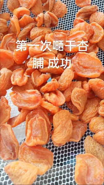 果脯怎么做_果脯的制作方法大全-第2张图片-山城妙识
