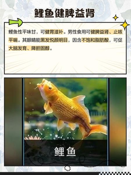 鲤鱼的功效与禁忌_孕妇能吃吗-第3张图片-山城妙识