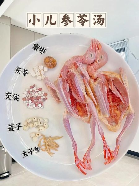 鸽子汤怎么炖最营养儿童吃_儿童鸽子汤做法-第3张图片-山城妙识 鸽子汤怎么炖最营养儿童吃_儿童鸽子汤做法-第3张图片-山城妙识