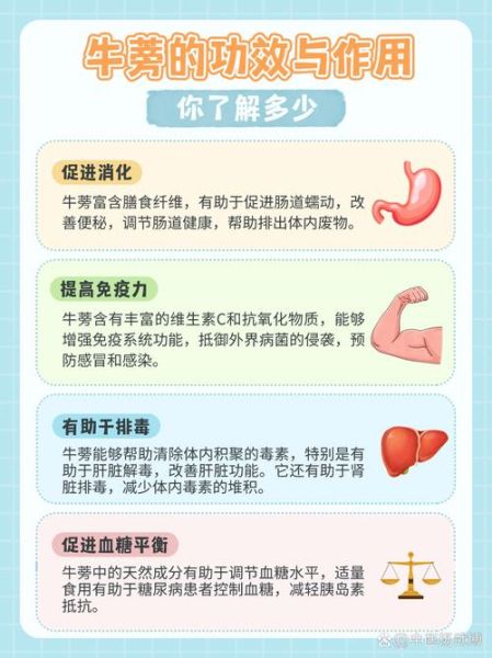 牛蒡的功效与作用_牛蒡一天吃多少克合适-第3张图片-山城妙识