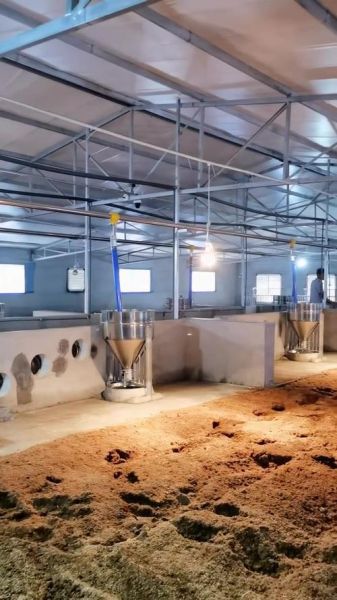 发酵饲料怎么做_发酵饲料喂猪优缺点-第2张图片-山城妙识