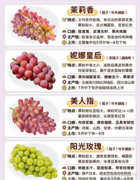 中国最高端葡萄品种有哪些_顶级葡萄品种排名-第2张图片-山城妙识 中国最高端葡萄品种有哪些_顶级葡萄品种排名-第2张图片-山城妙识