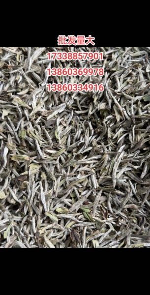 白毫银针多少钱一斤_如何辨别真假-第3张图片-山城妙识