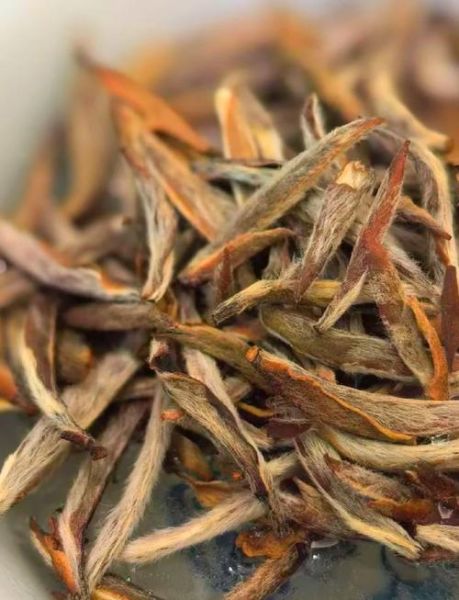 白毫银针多少钱一斤_如何辨别真假-第2张图片-山城妙识