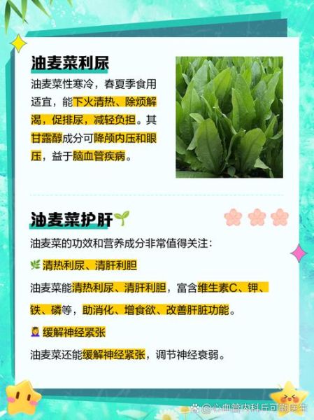油麦菜的功效与作用_油麦菜怎么吃最营养-第1张图片-山城妙识