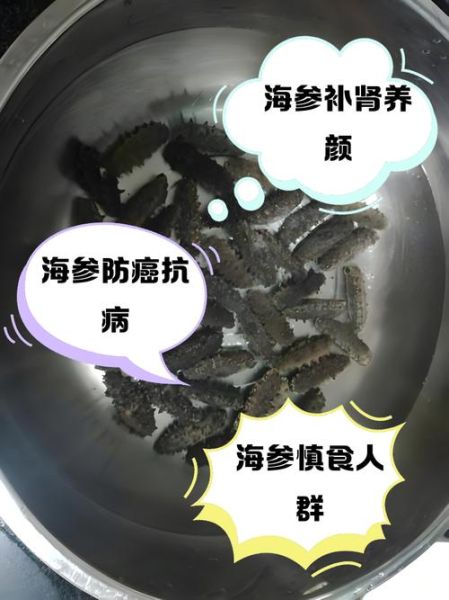 海参禁忌人群有哪些_海参哪些人不能吃-第3张图片-山城妙识
