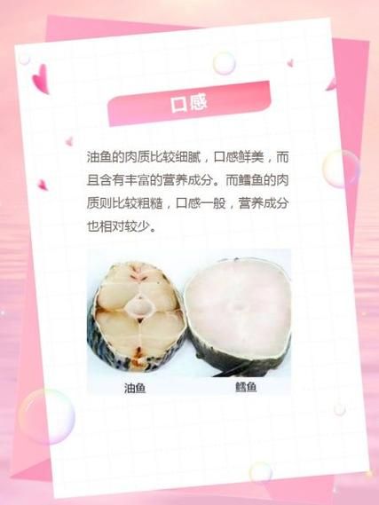 油鱼图片及价格查询_油鱼多少钱一斤-第1张图片-山城妙识