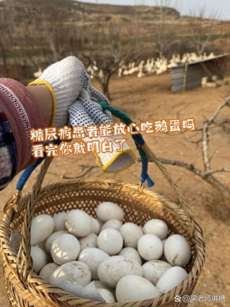 鹅蛋怎么吃降血糖最佳_鹅蛋降血糖的正确吃法-第2张图片-山城妙识