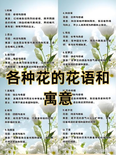 玫瑰花语大全_不同朵数代表什么含义-第2张图片-山城妙识