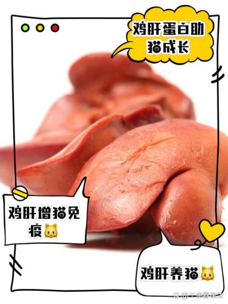 鸡肝的功效与作用禁忌_鸡肝什么人不能吃-第3张图片-山城妙识