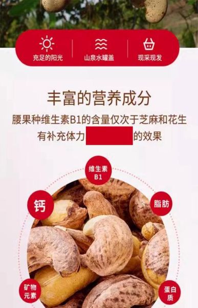 腰果仁的营养价值_腰果仁一天吃多少合适-第1张图片-山城妙识 腰果仁的营养价值_腰果仁一天吃多少合适-第1张图片-山城妙识