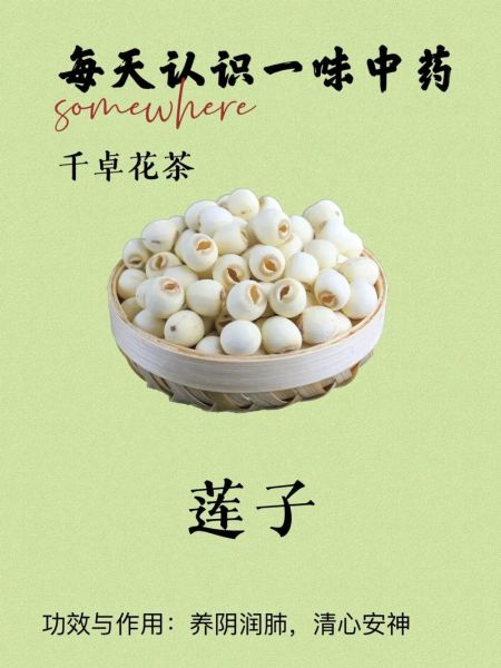 莲子图片大全_莲子高清图鉴-第3张图片-山城妙识