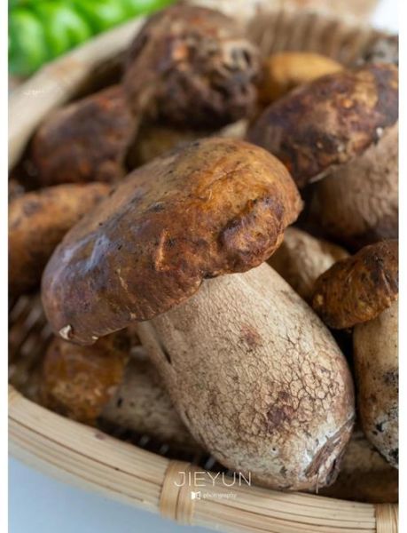 牛肝菌图片怎么分辨真假_野生牛肝菌长什么样-第1张图片-山城妙识