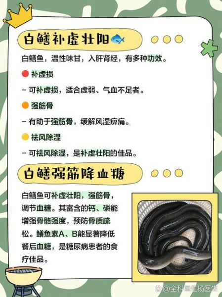 白鳝鱼怎么养_白鳝鱼养殖技术要点-第1张图片-山城妙识