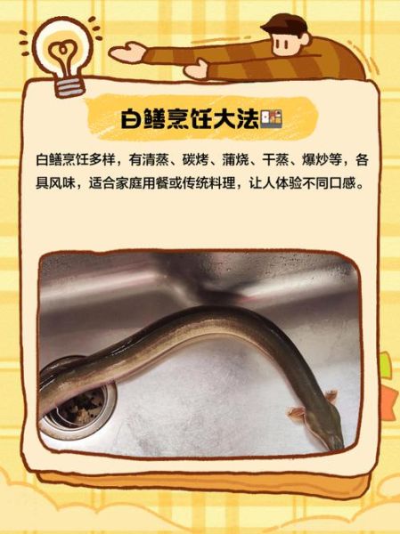 白鳝鱼怎么养_白鳝鱼养殖技术要点-第3张图片-山城妙识