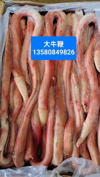 牛鞭是什么样子_牛鞭外观特征图解-第3张图片-山城妙识