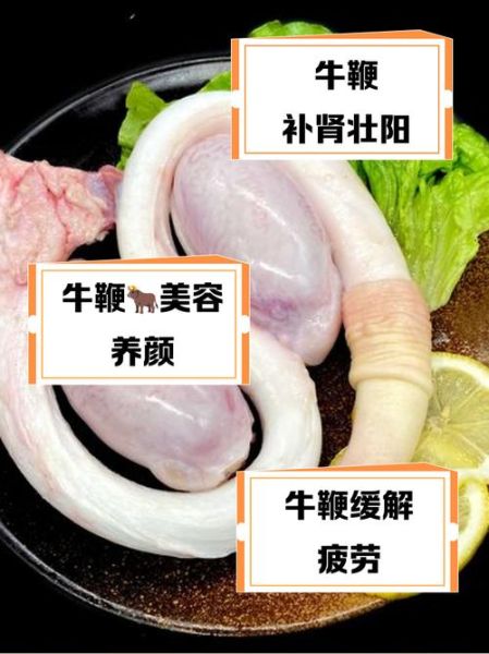 牛鞭是什么样子_牛鞭外观特征图解-第2张图片-山城妙识