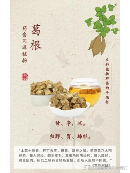 葛根有什么功效_葛根的作用与禁忌-第2张图片-山城妙识