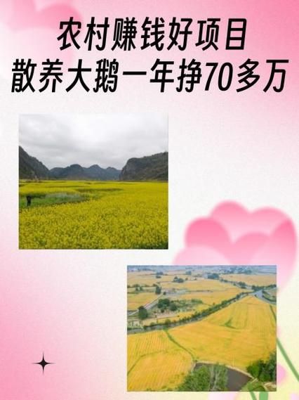 养100只鹅一年利润_养鹅成本与收益分析-第1张图片-山城妙识