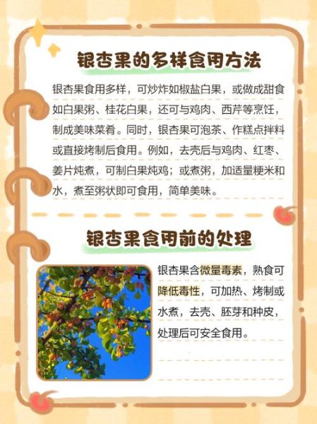 银杏果怎么吃_银杏果的食用方法-第2张图片-山城妙识